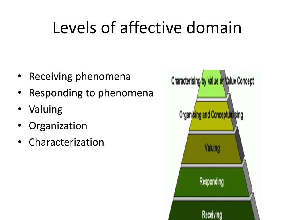 Affective Domain of Bloom's Taxonomy