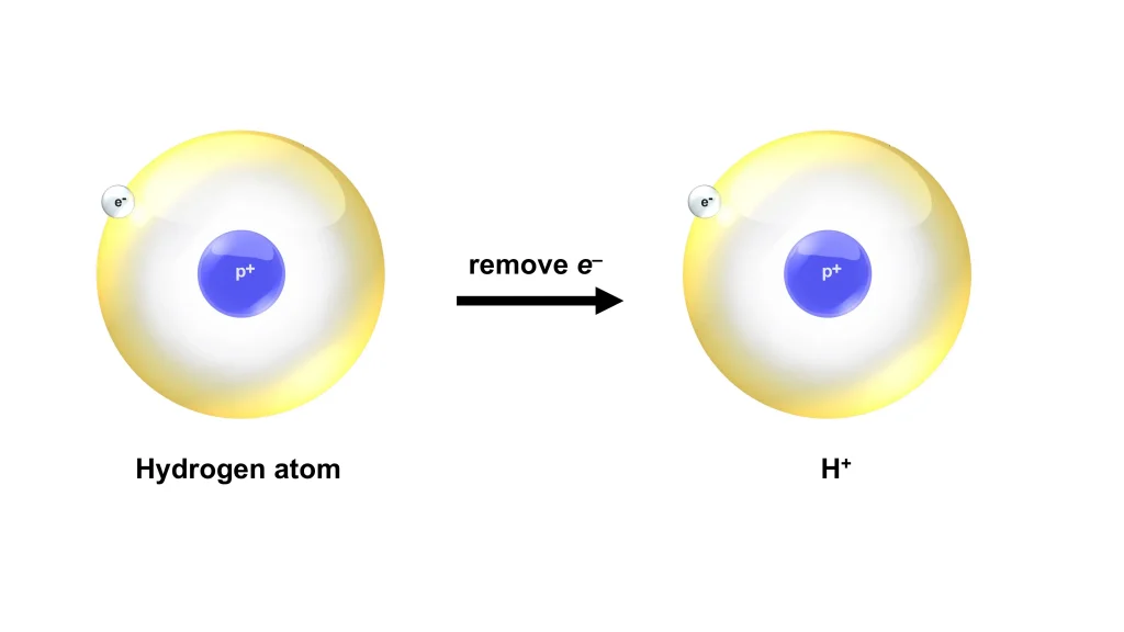 General and Lab Concepts Review