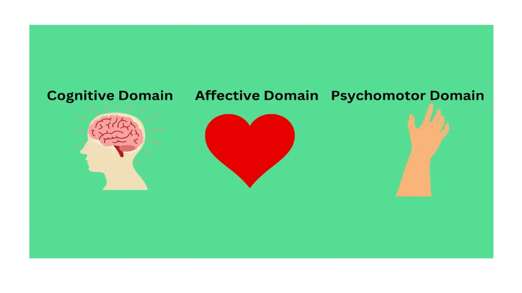 Cognitive Domain of Bloom's Taxonomy